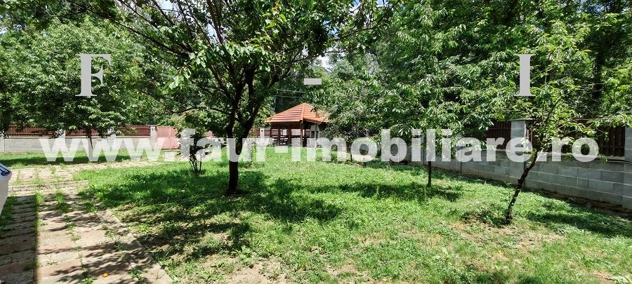 Vila in Padure la Vladimirescu — Faur Imobiliare